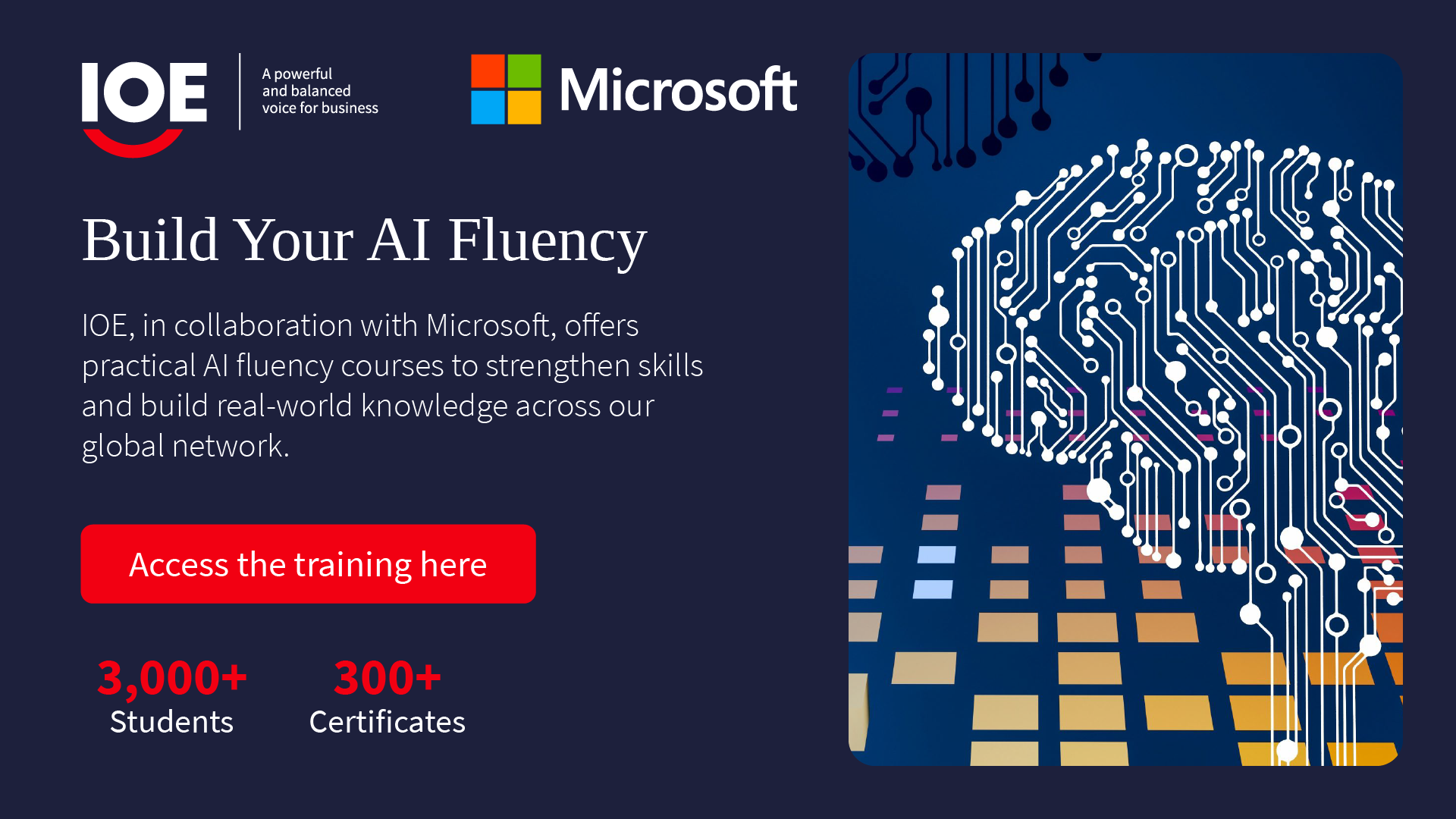 355th Session of the ILO Governing Body